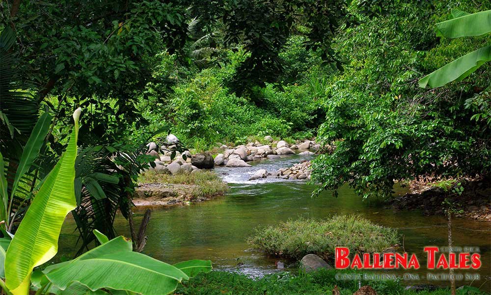 Ojochal En Fotos - Ballena Tales Magazine And Free Travel Guide