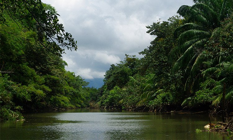 Sierpe River - Alchetron, The Free Social Encyclopedia