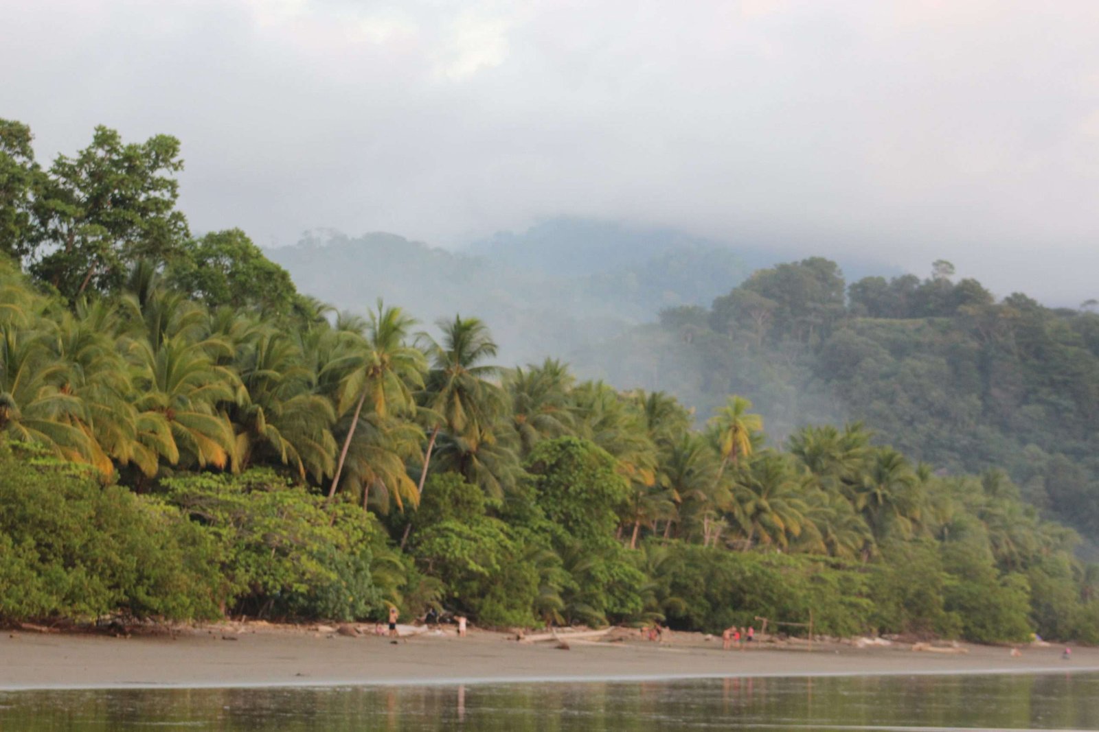 Playa Colonia O Playa Chamán - Ballena Tales Magazine And Free Travel Guide