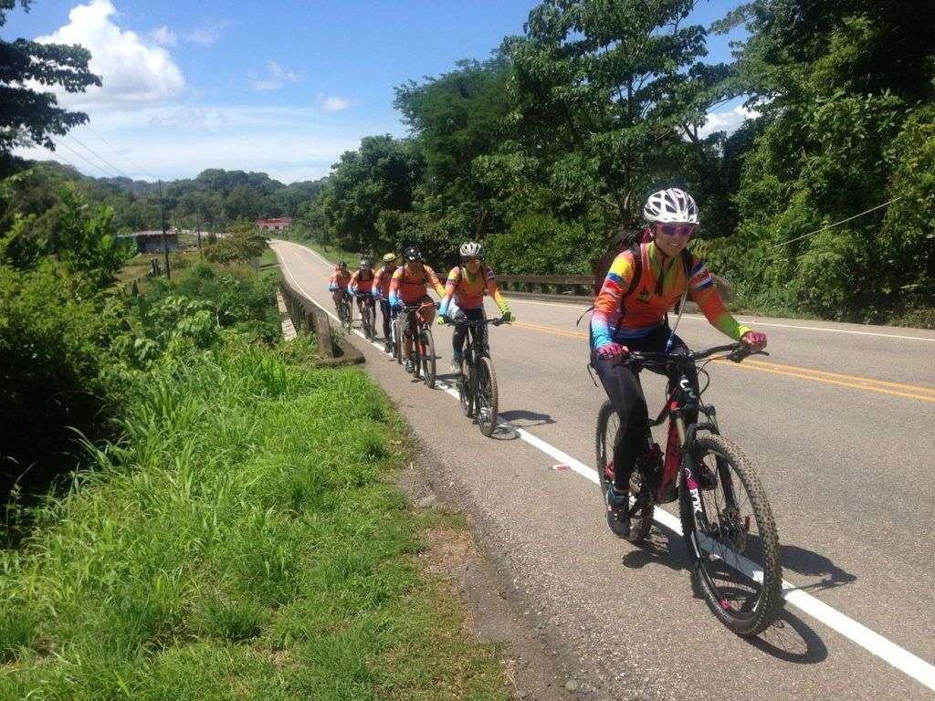 Solda Con Solda, Planta Regalo De La Naturaleza 2021